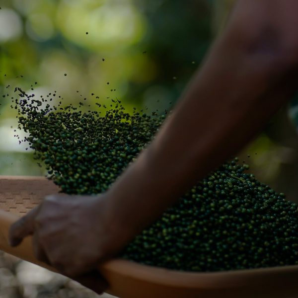 Buy Kerala Spices Online - Best and Premium Quality Spices| Spices Wala ...